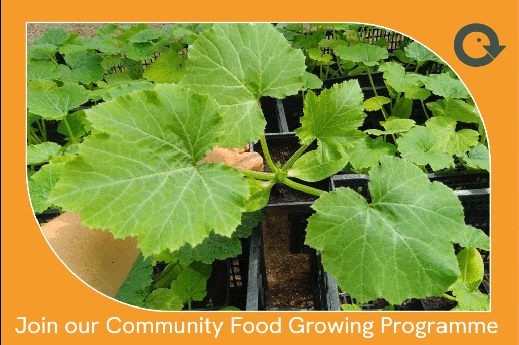 Community food growing programme - Food Works